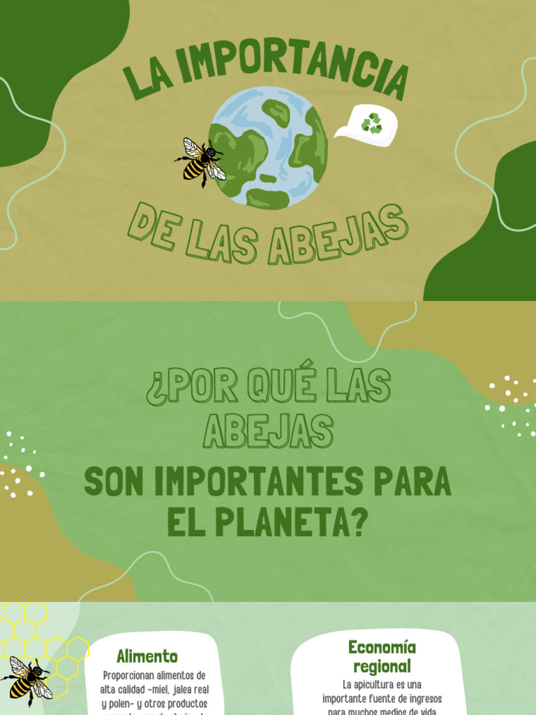 Importancia de Las Abejas | PDF | Western Honey Bee | Colmena