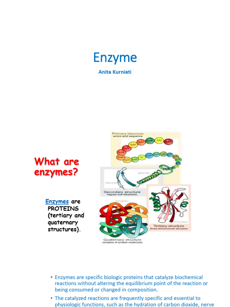 Enzyme . | PDF | Enzyme Inhibitor | Enzyme