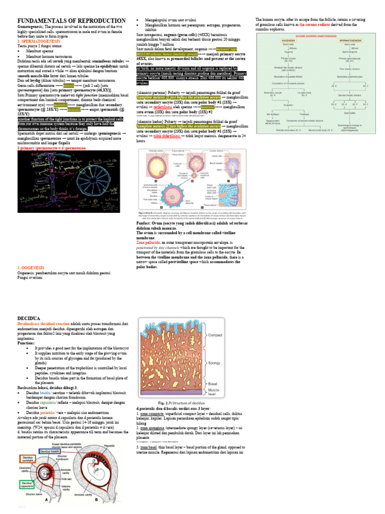 Reproductive Biology: Gametogenesis & Fertilization | PDF | Biology | Developmental Biology
