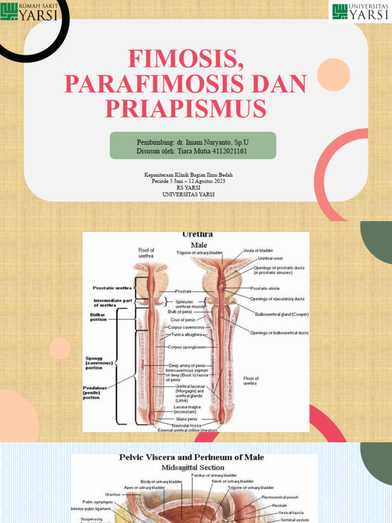 Fimosis 2 | PDF