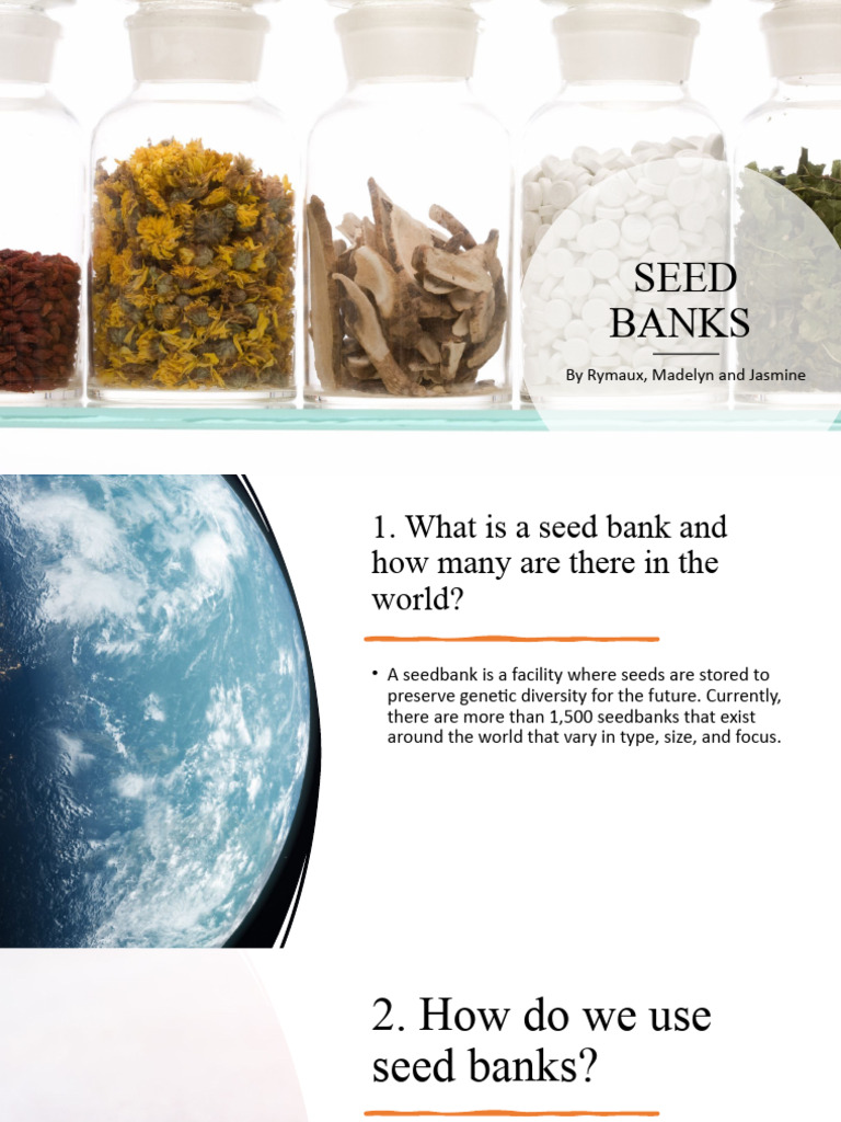 Understanding Seed Banks and Their Importance | PDF | Science & Mathematics