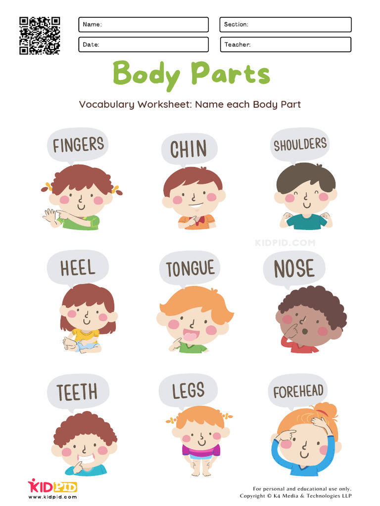 Vocabulary Naming Body Parts Worksheet | PDF | Human Head And Neck ...