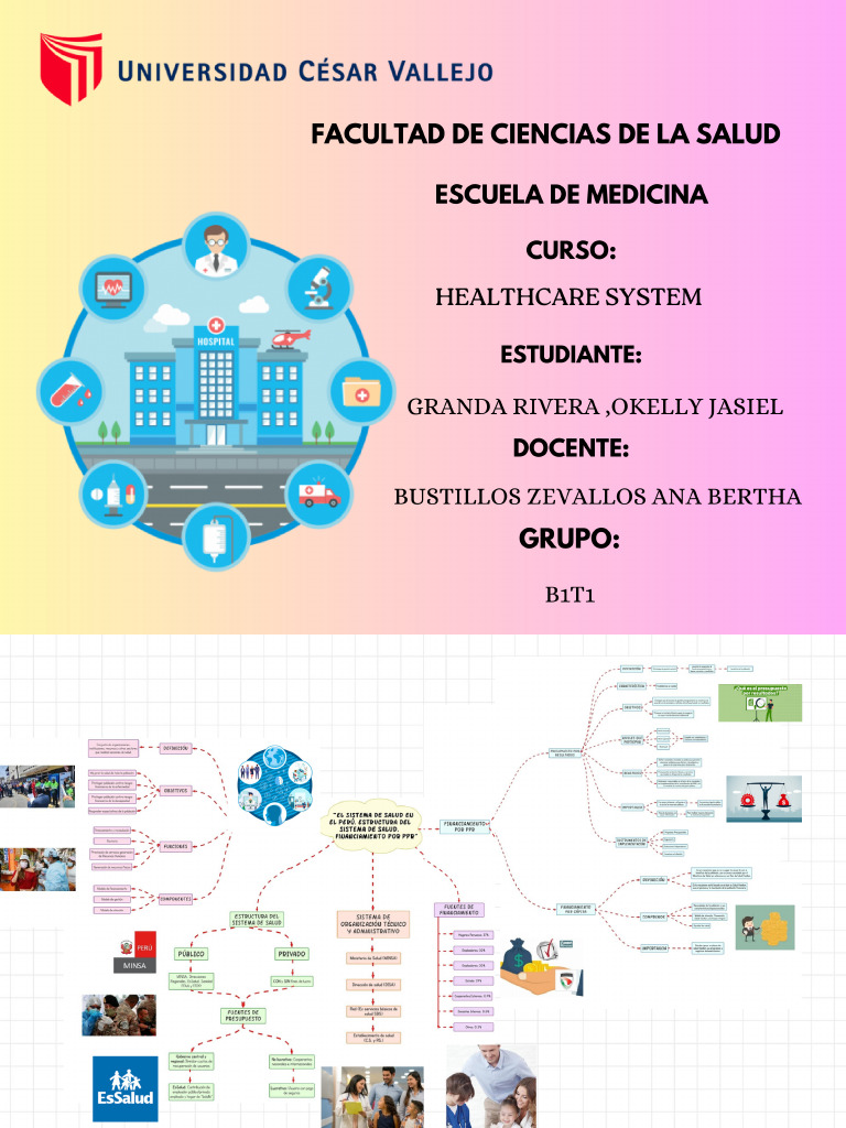 Mapa Conceptual-Sistema de Salud | PDF