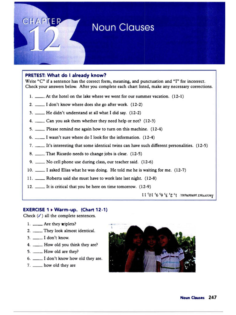 Chapter 12 - Noun Clauses | PDF