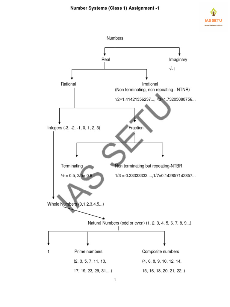 1 Number System Assignment (Class 1) | PDF | Numbers | Rational Number