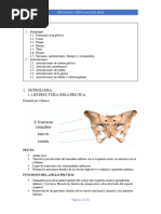 Anatomía de La Cavidad Pélvica | PDF | Pelvis | Abdomen