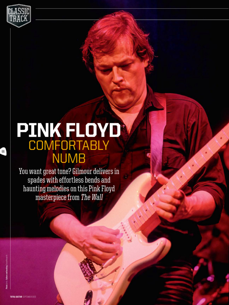 Comfortably Numb & MR - Brightside | PDF | Guitars | Guitar Family ...