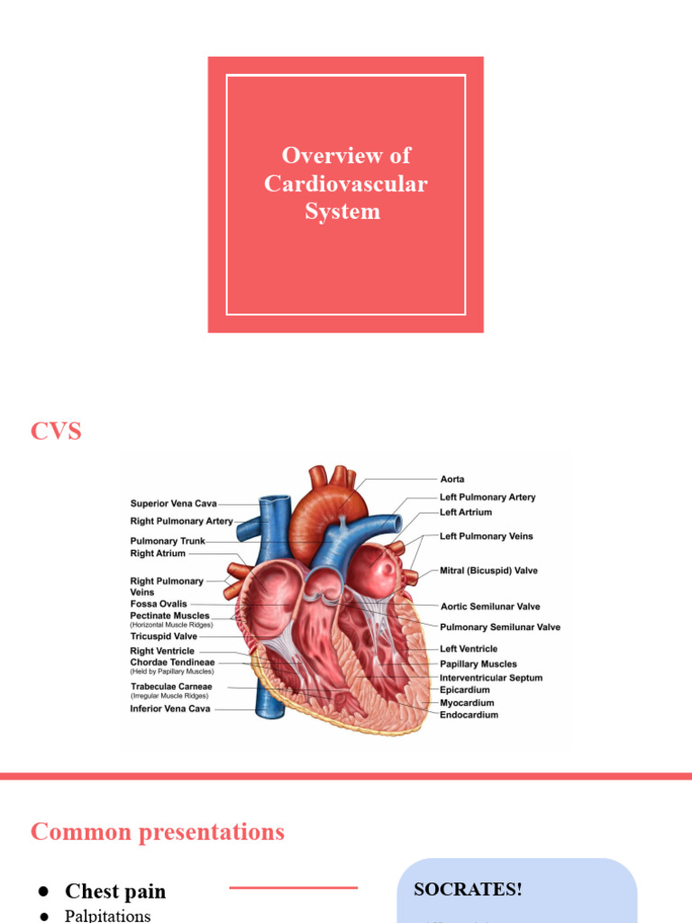 (1A) EOCP Block 1 - Cardio Lecture | Download Free PDF | Myocardial ...