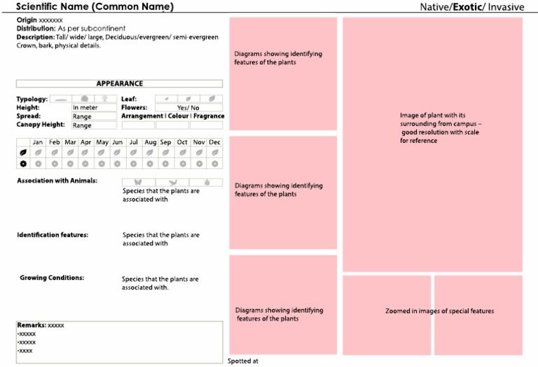Landscape Assignment Format PDF | PDF