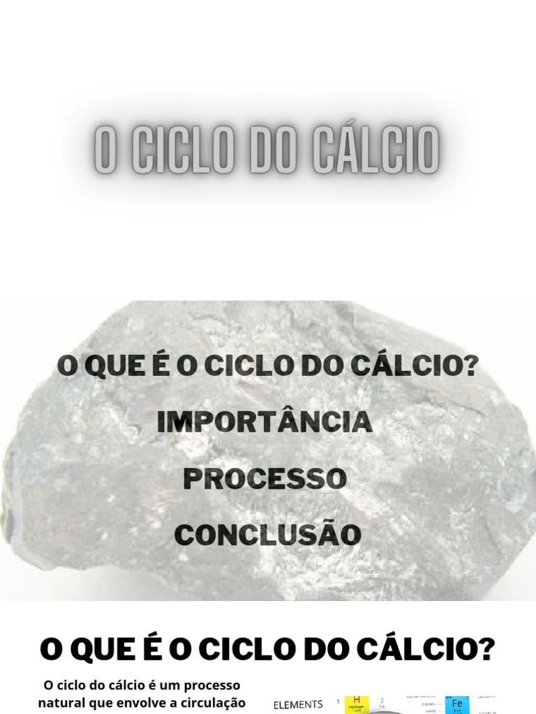 Ciclo Do Cálcio | PDF
