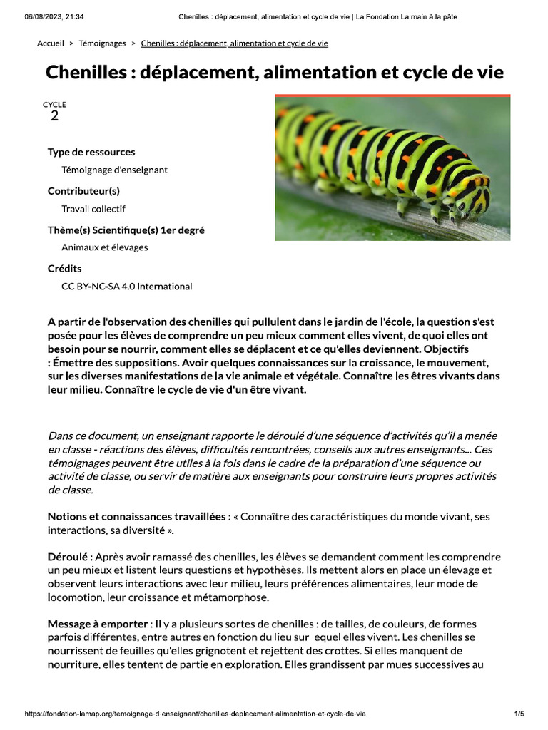 Cycle de Vie de La Chenille | PDF
