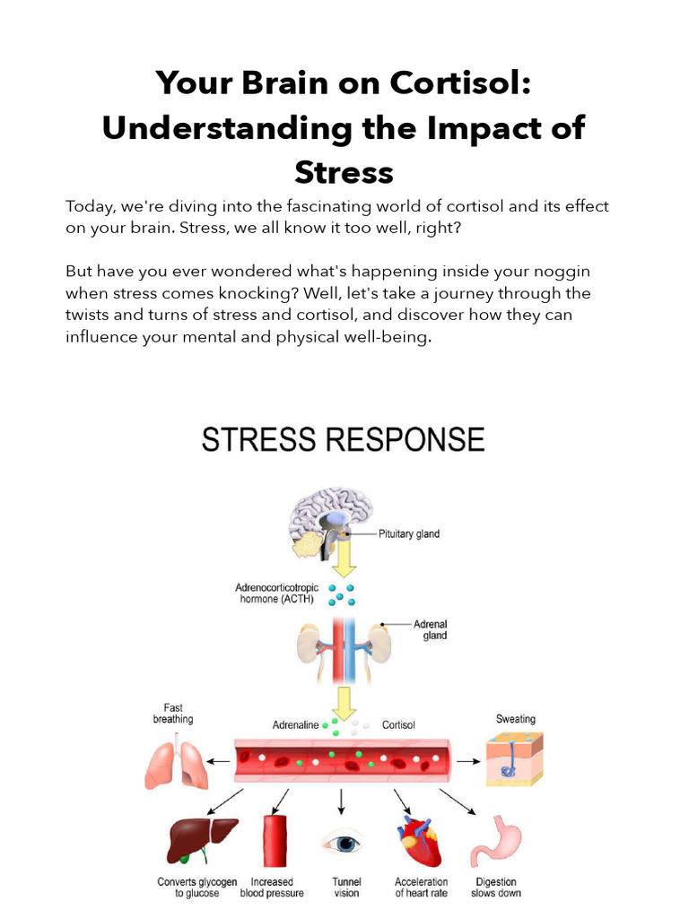 Your Brain On Cortisol Understanding The Impact of Stress | PDF ...