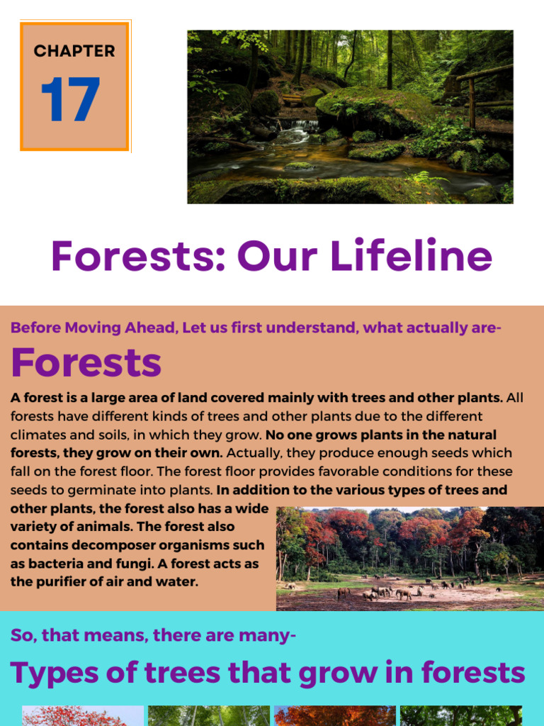 Forests - Our Lifeline | PDF | Science & Mathematics