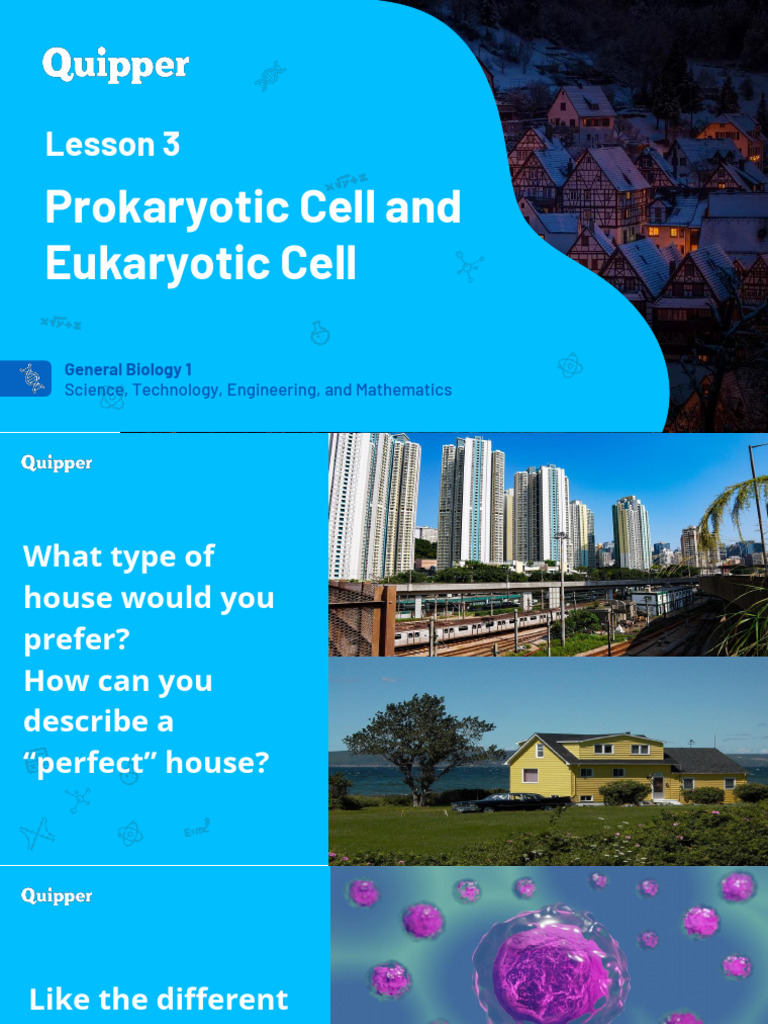 Prokaryotic vs Eukaryotic Cells Explained | PDF | Cell (Biology ...