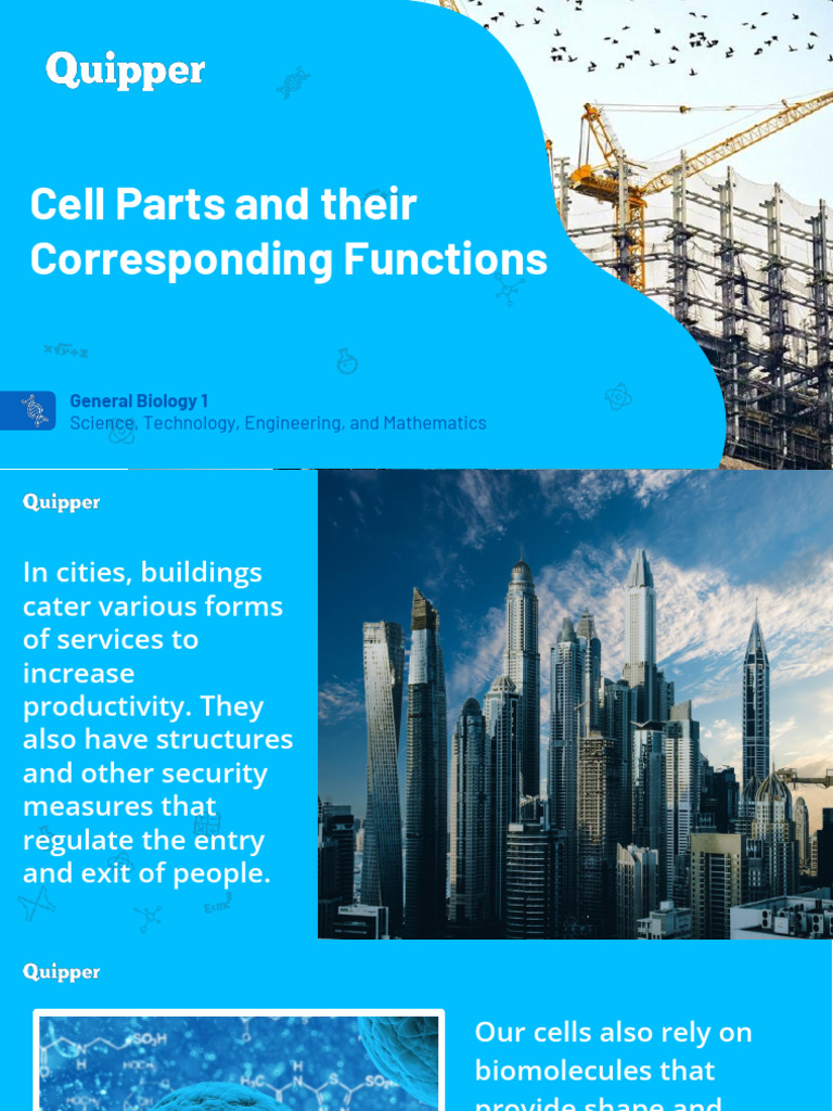 Lesson 2 - Major Cell Parts and Their Functions Part 1 | Download Free ...