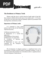Deciduous Teeth Identification Guide | PDF | Dental Anatomy | Tooth