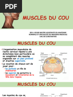Anatomie de la région de la nuque | PDF | Vertèbre | Colonne vertébrale