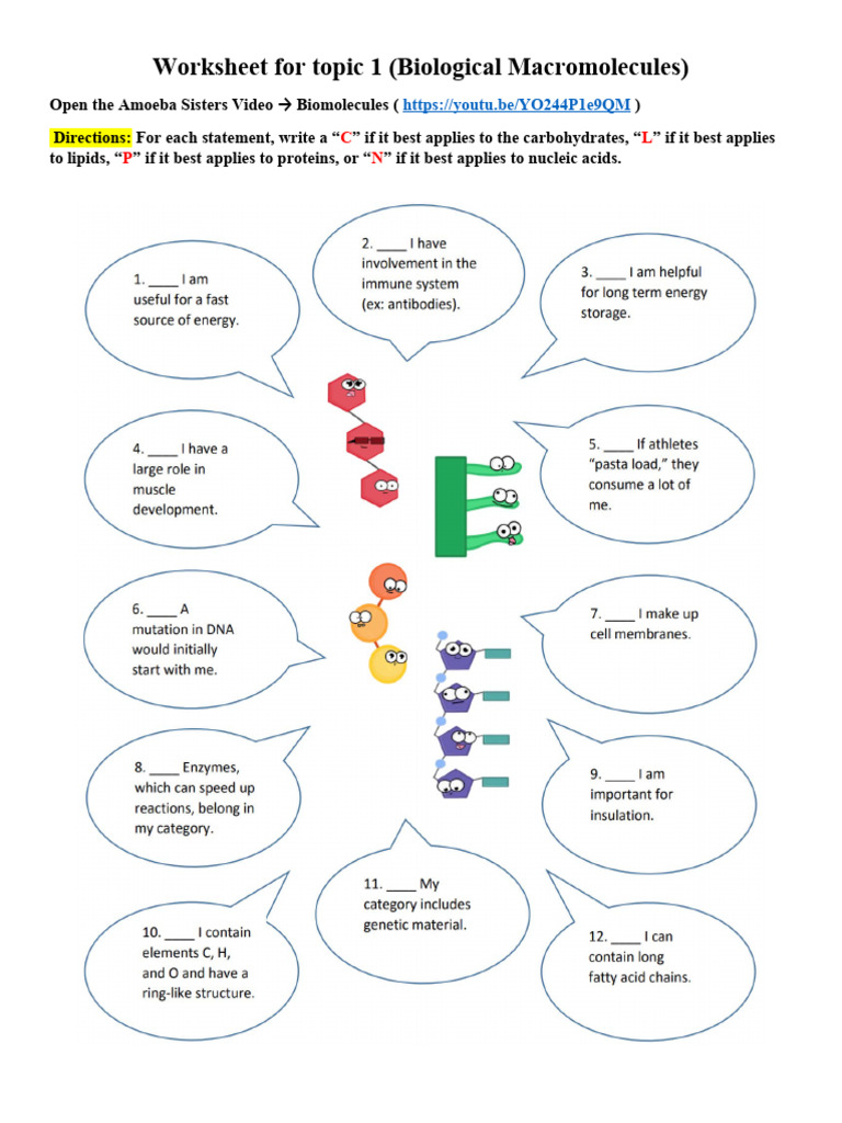 Worksheet (Biological Macromolecules) | PDF
