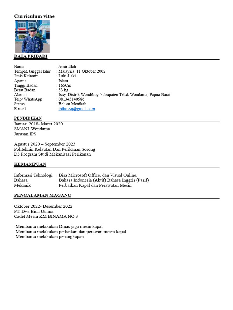 Curriculum Vitae (CV) Amir | PDF