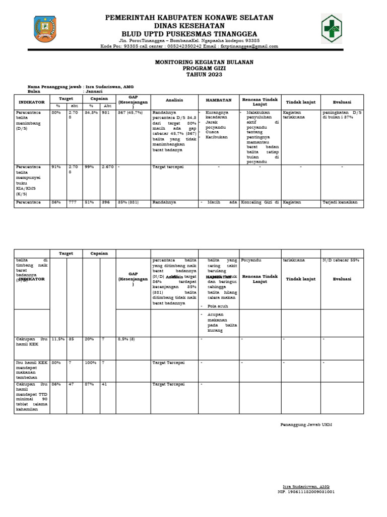 Laporan Gizi Bulanan Puskesmas | PDF