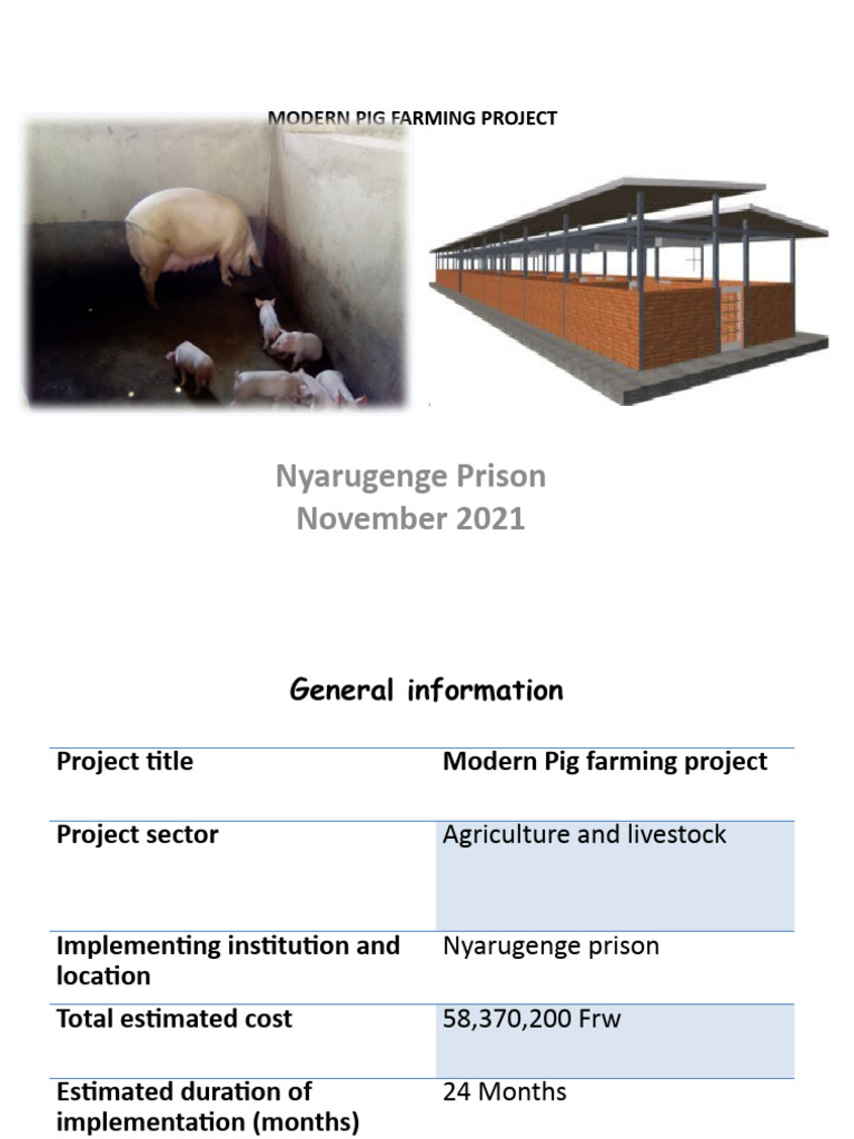 Prison Pig Farming Project | PDF | Agriculture | Return On Investment