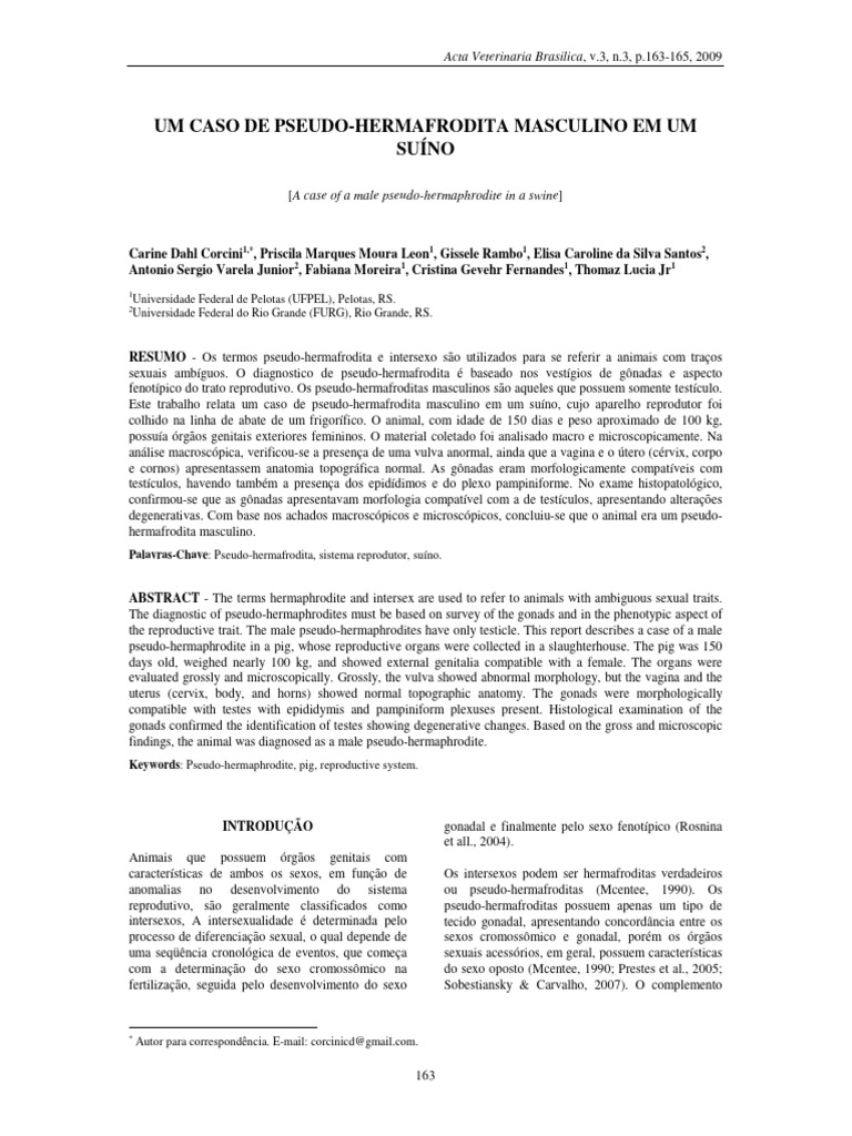 Um caso de pseudo-hermafrodita masculino em um suino | PDF | Sexo | Zoologia