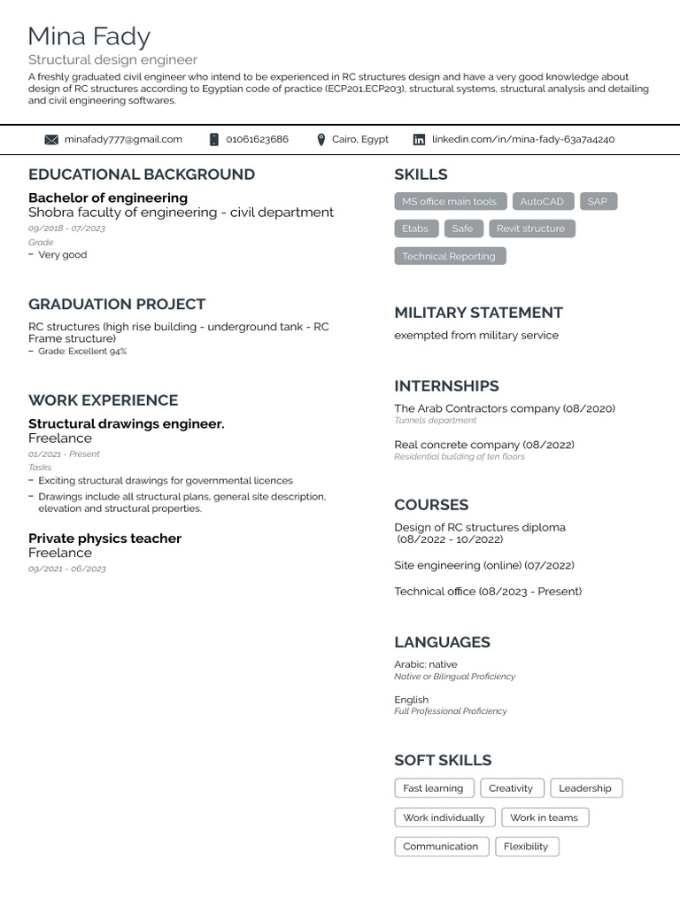 Mina's Resume | PDF | Engineering | Engineer