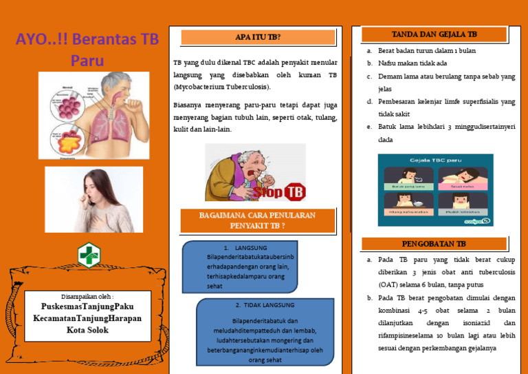 Leaflet TB Paru | PDF