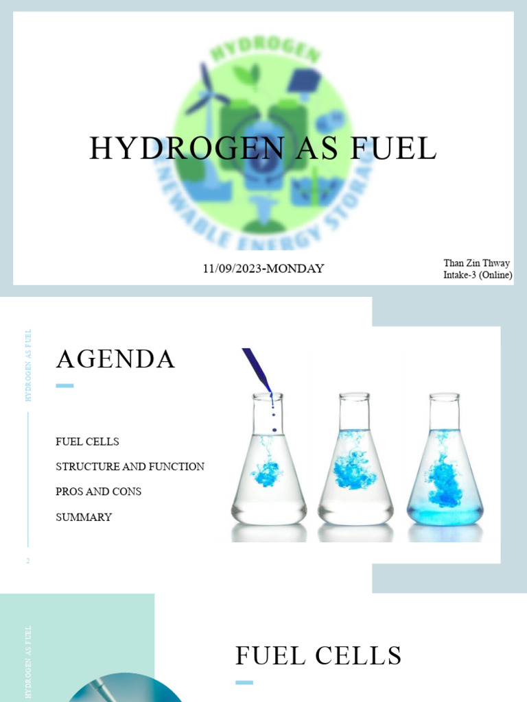 Hydrogen Fuel Cells Overview | PDF