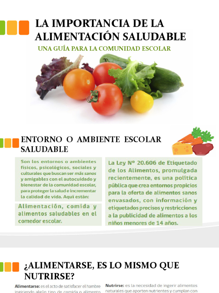 Guia De Alimentación Saludable Pdf Alimentos Obesidad
