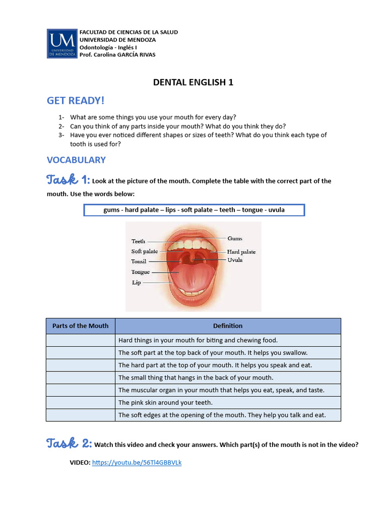 DENTAL ENGLISH 1 - Inglés I Odontología | PDF