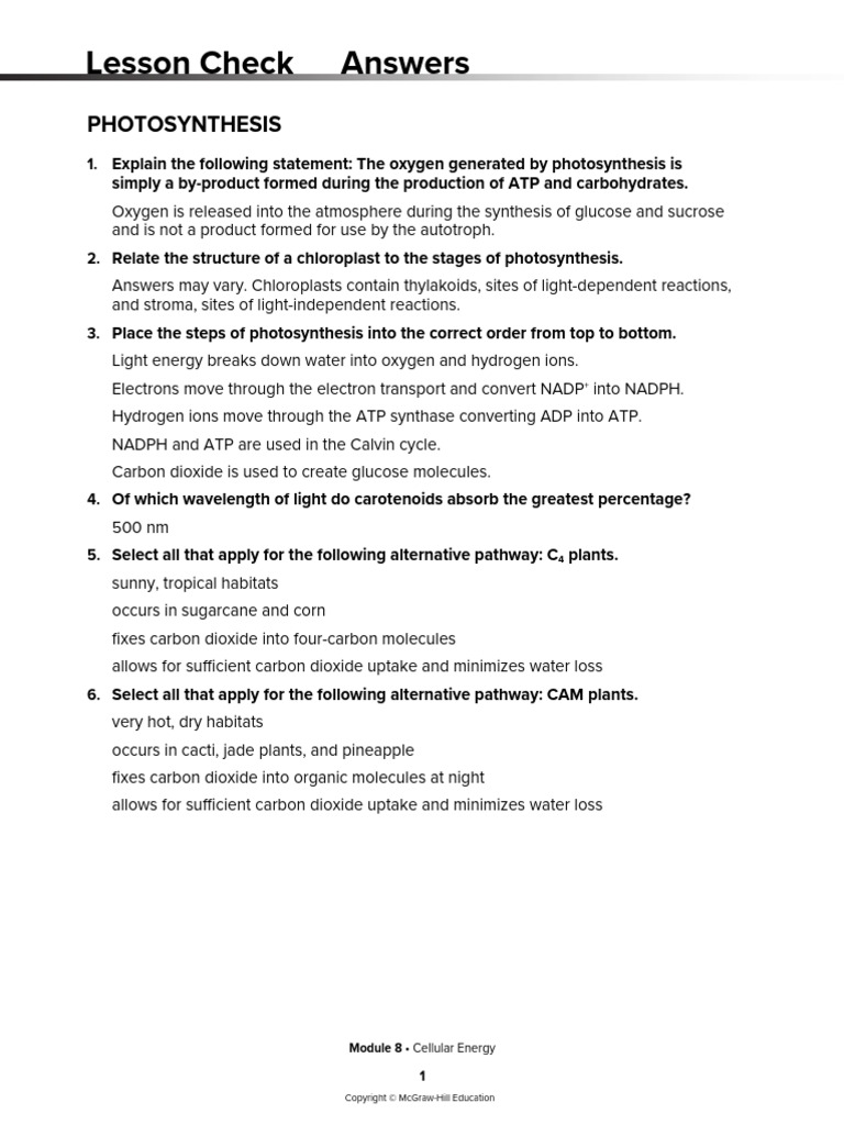 Lesson+Check+Answer+Key Photosynthesis | PDF