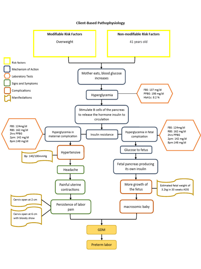 Gestational Diabetes Management Overview | PDF | Hyperglycemia ...