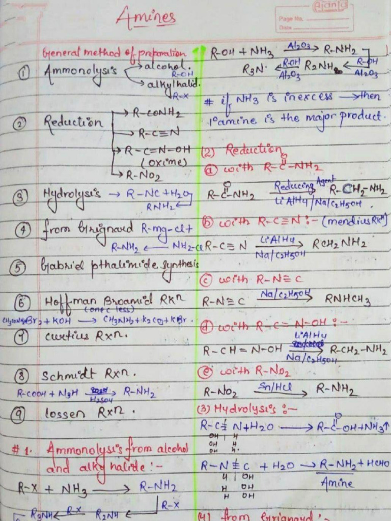 Amines Short Notes | PDF
