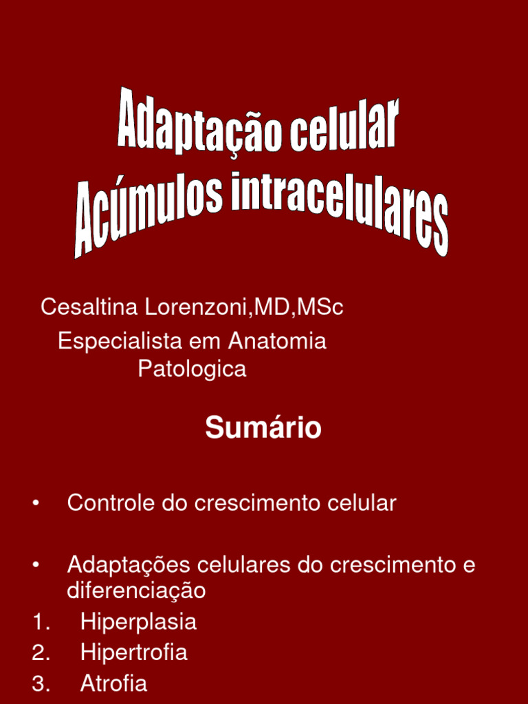 Adaptação Celular e Acúmulos Intracelulares | PDF | Célula (Biologia ...