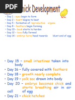 Duck Life Cycle: Stages Explained | PDF | Duck | Egg