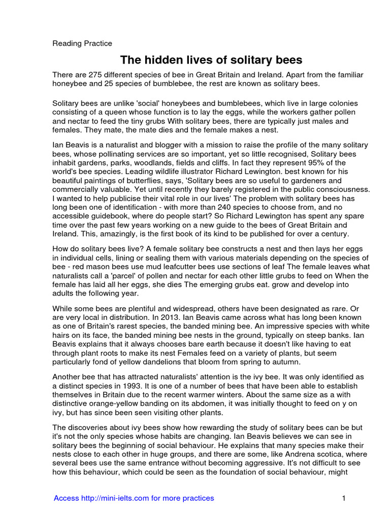 The Hidden Lives of Solitary Bees | PDF | Bees | Honey Bee