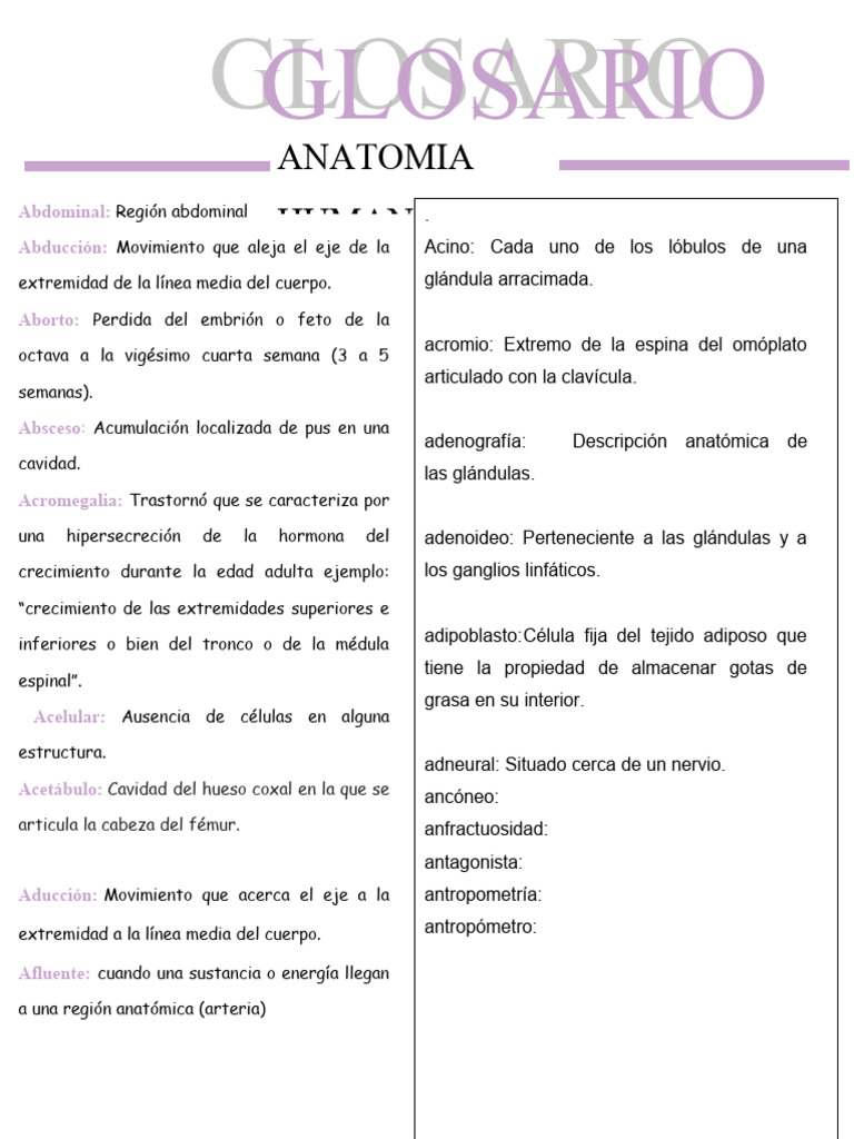 Glosario Anatomia Pdf Articulación Anatomía