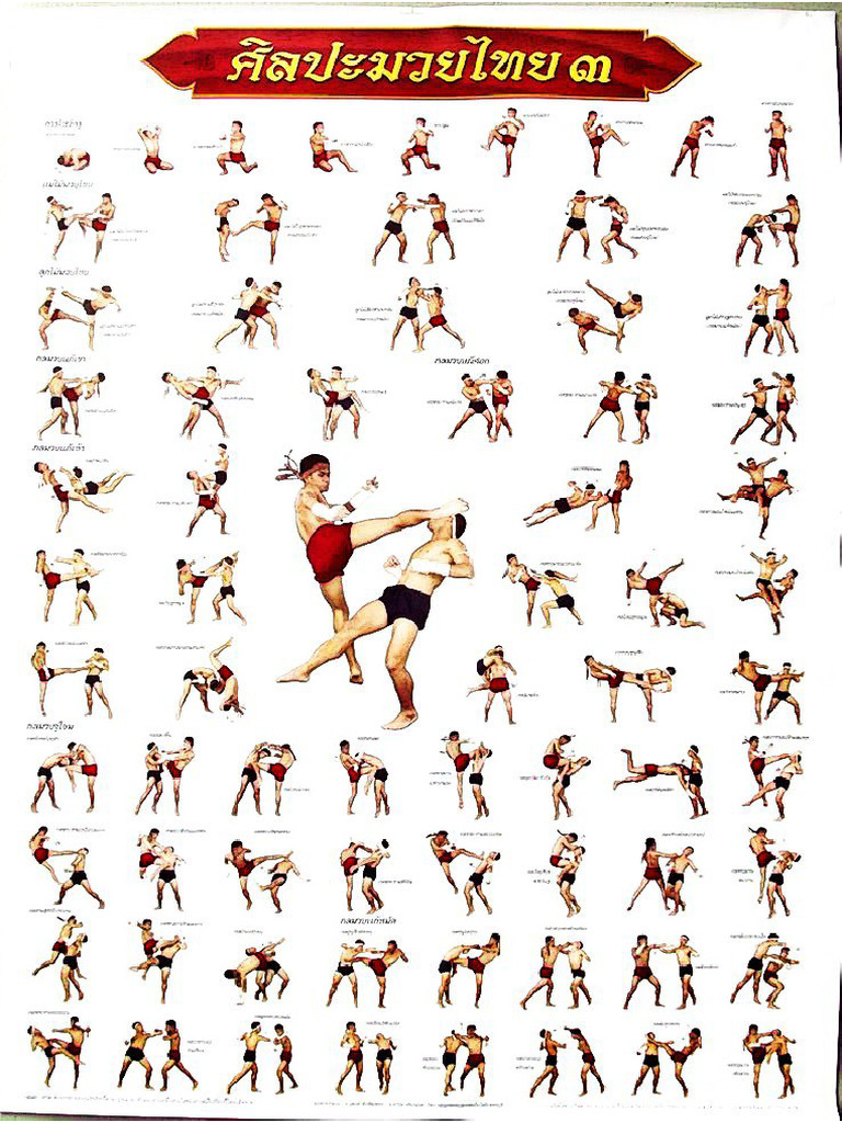Muay Thai | PDF