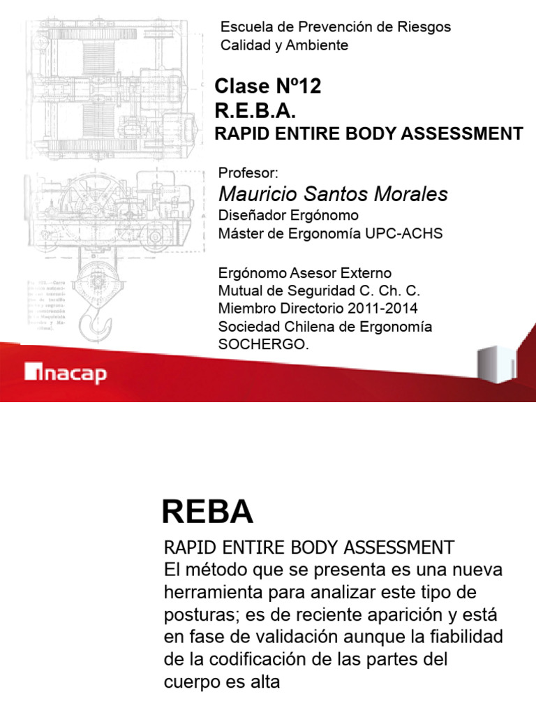 Reba | PDF | Factores humanos y ergonomía