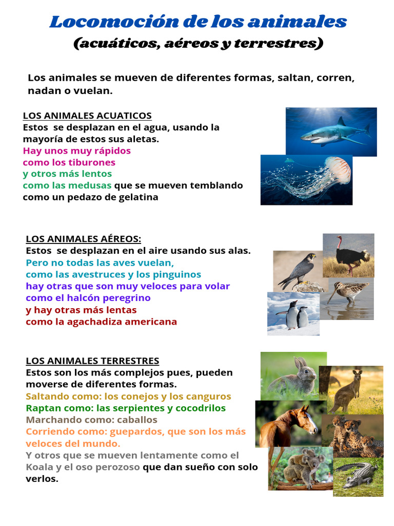 Tipos de locomoción en animales | PDF