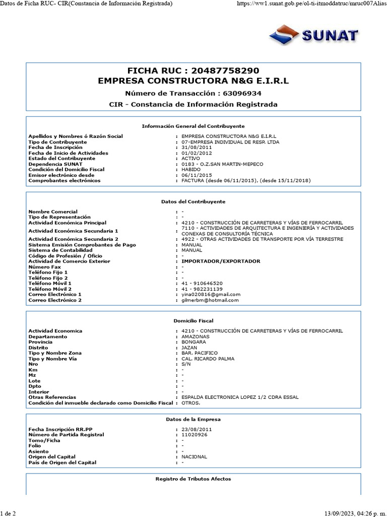 Ficha RUC Empresa Constructora N&G E.I.R.L | PDF | Industrias de ...