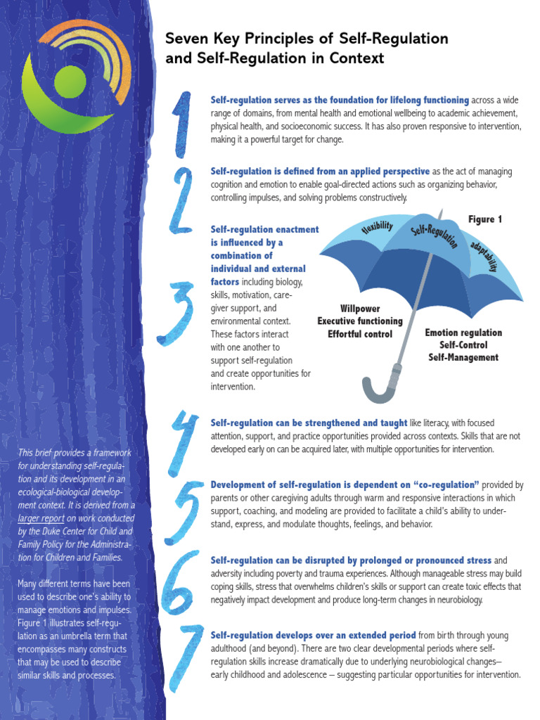 7 Principles of Regulation Coregulation | PDF | Emotional Self ...