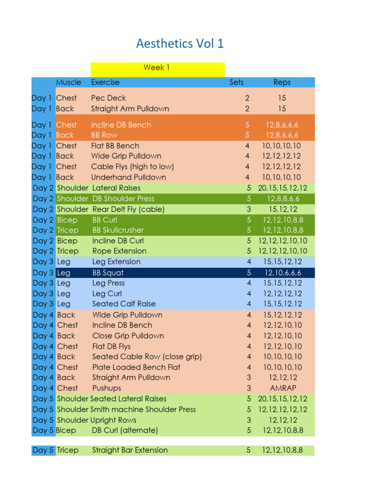 Aesthetics Vol1 Pdf Physical Exercise Human Anatomy