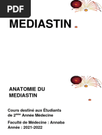 Anatomie et divisions du médiastin | PDF | Aorte | Thymus (anatomie)