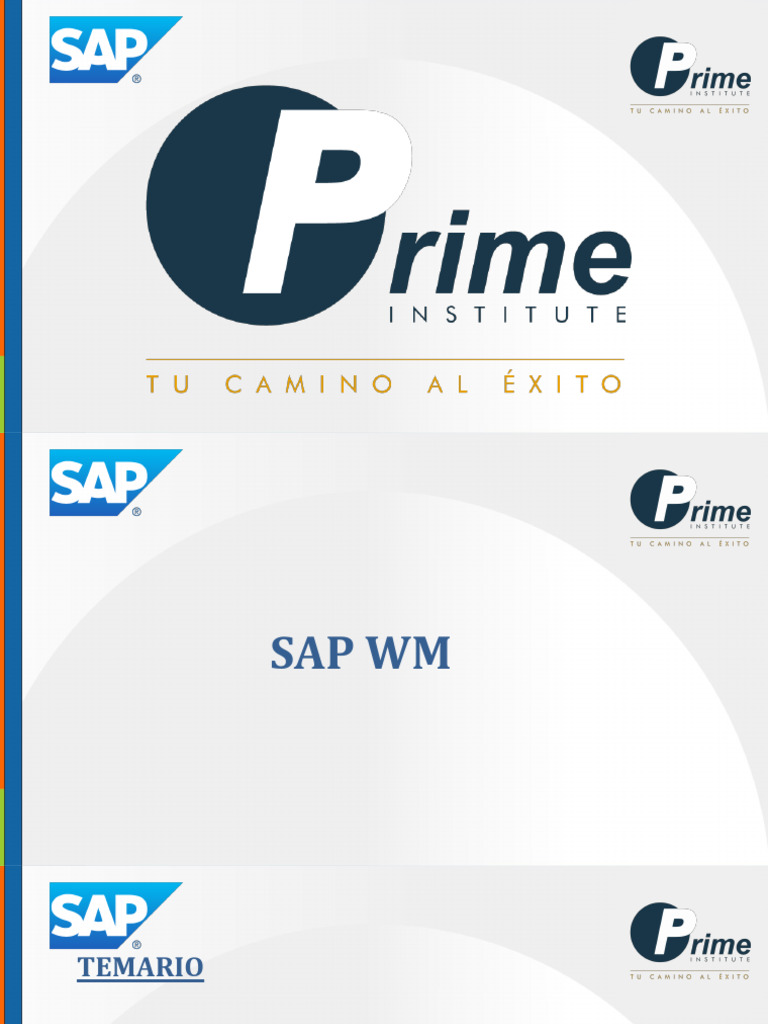 Sap WMS | PDF | Almacén | Tecnologías de la información