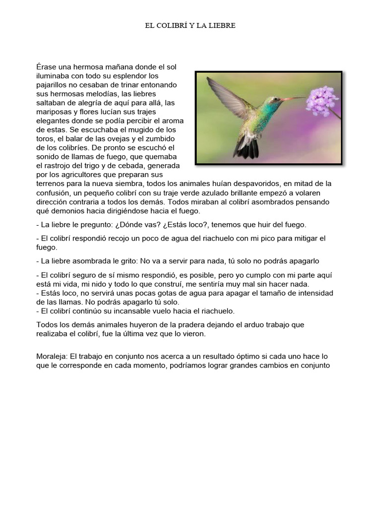 El colibrí y la liebre: fábula de valentía | PDF
