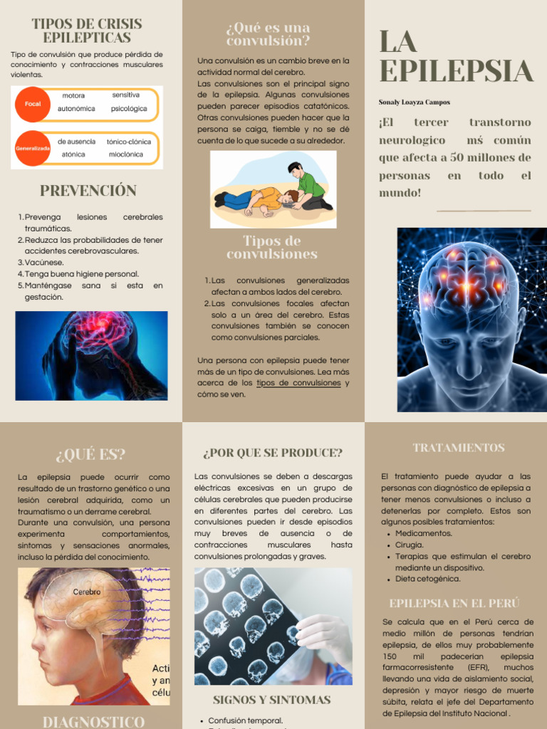 Epilepsia Triptico | PDF | Epilepsia | Medicina CLINICA