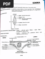 CBSE Class 10 Science Lab Manual - Stomata | PDF | Stoma | Leaf