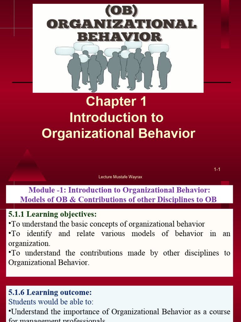 ch01 OB | PDF | Organizational Behavior | Behavior